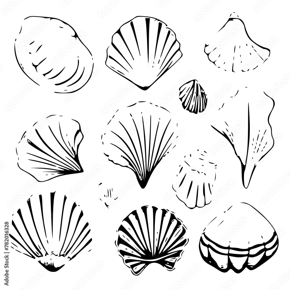 Seashells svg, Seashell svg file, Ocean svg, Marine, Clipart, Seashell ...