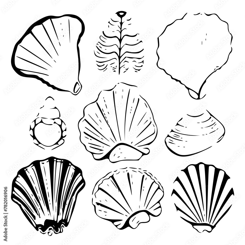 Seashells svg, Seashell svg file, Ocean svg, Marine, Clipart, Seashell ...