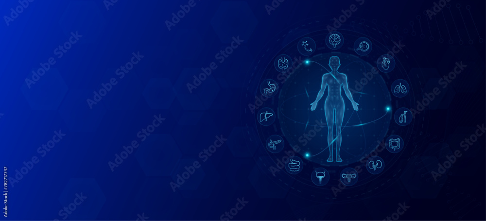 Anatomy of the human body. Icons internal organs female. Health care ...