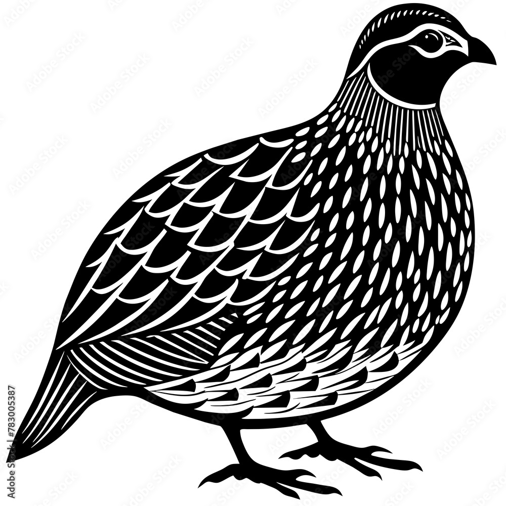 Quail Bird silhouette. quail Logo design concept isolated on white ...