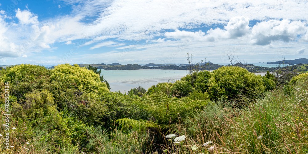 McGregor Bay and Coromandel Harbour from the Kauri Block Walk lookout ...