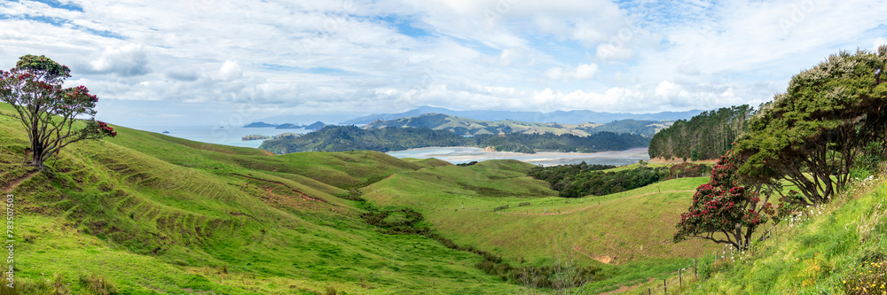 McGregor Bay and Coromandel Harbour from the Kauri Block Walk lookout ...