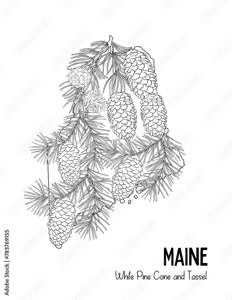 Ilustración de Stock State Coloring Page, Maine coloring page, Flowers ...