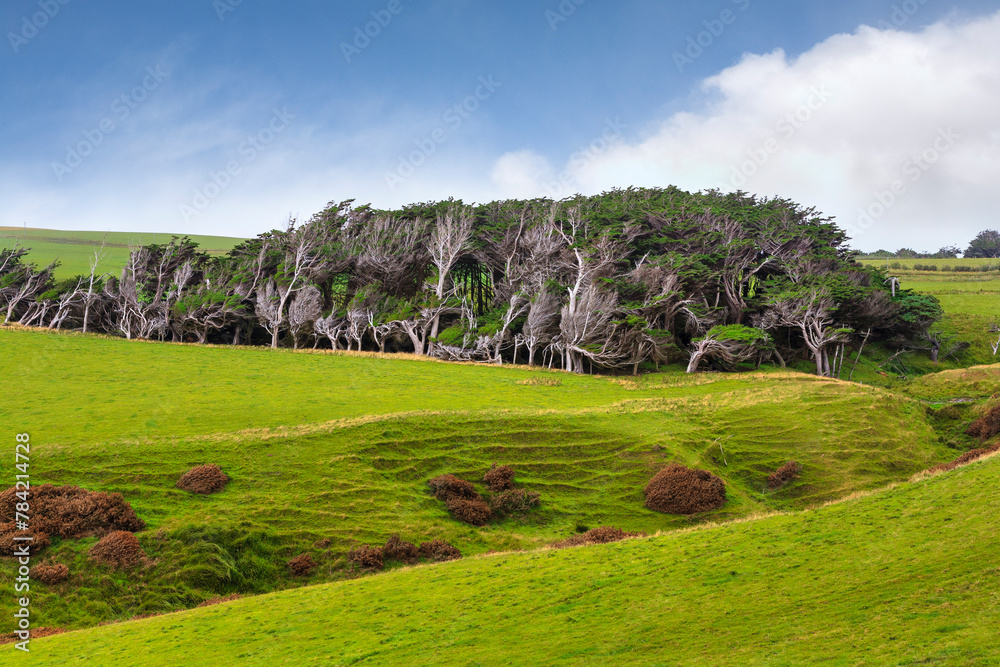 Slope Point, the southernmost point of New Zealand's South Island ...