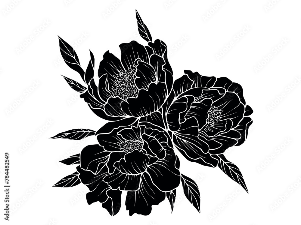 Bouquet of peonies. Peonies drawn using sketch technique. Three peonies ...