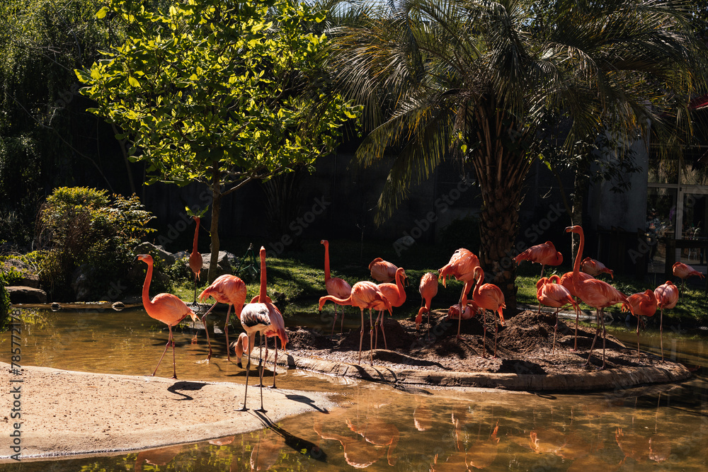 Animals in the zoo. Wild African animals in a summer forest on a sunny ...