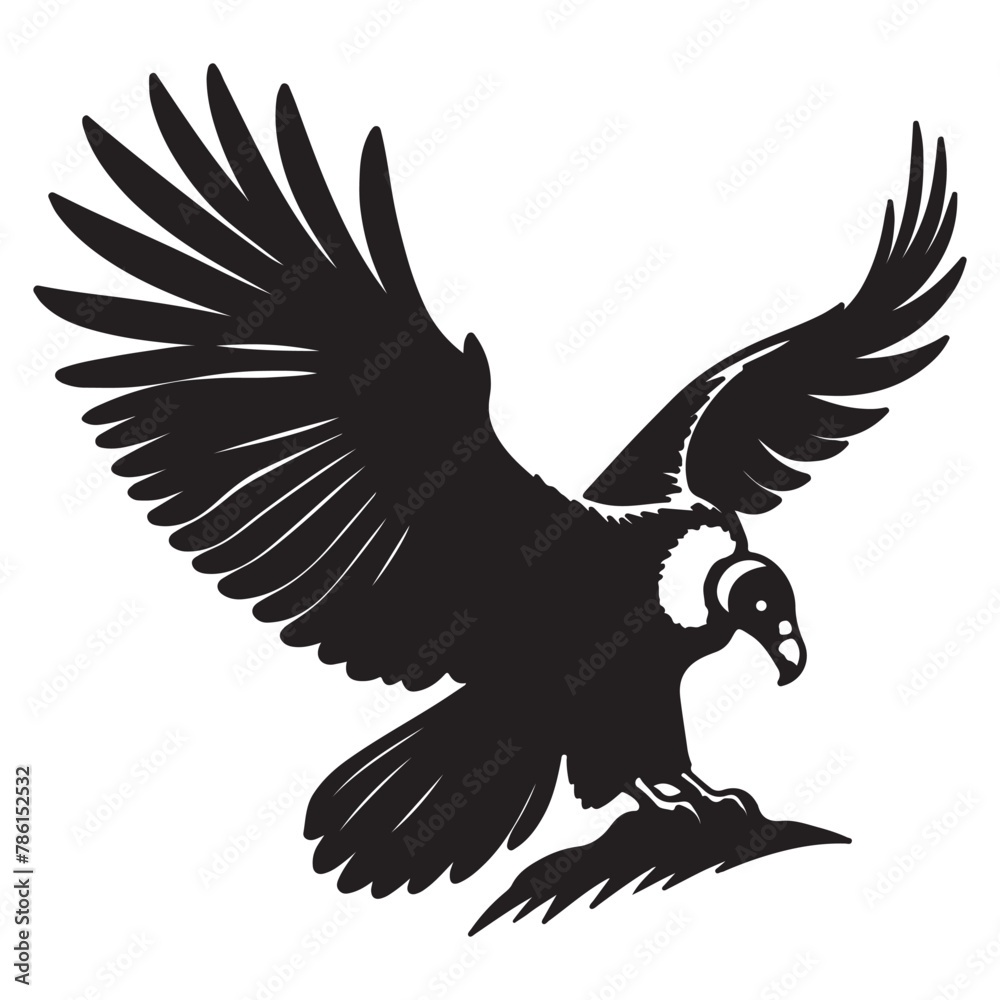 Condor bird, black silhouette on a transparent background, vector ...