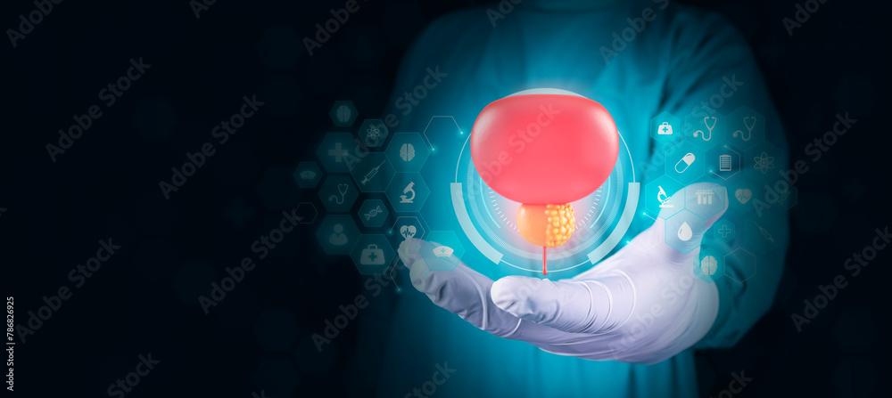 Prostate cancer concept. The doctor analyzes the area of the prostate ...