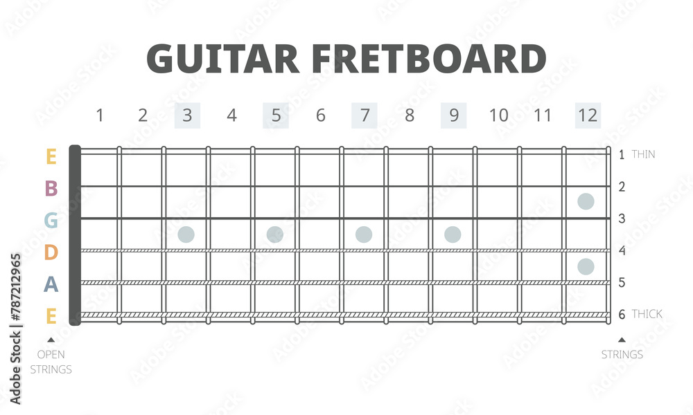 Guitar fretboard chart vector illustration. Guitar neck map with frets ...