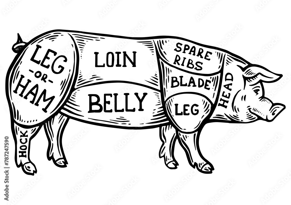 Ilustración de Stock Meat diagram pig engraving PNG illustration ...