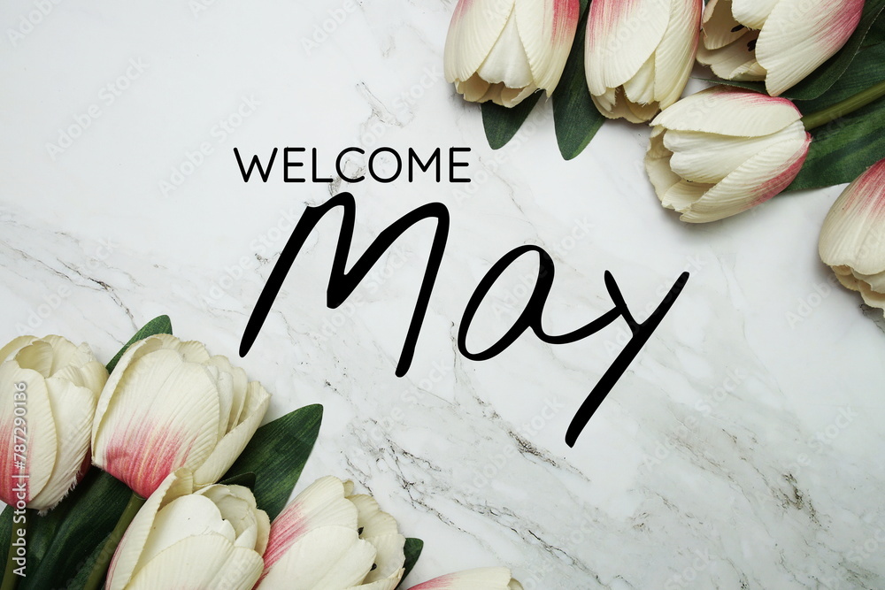 Welcome May text with Tulip flower border frame with space copy on ...