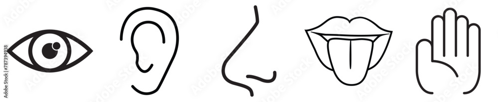 Human sense icons. Five human senses icons. Vision smell hearing touch ...