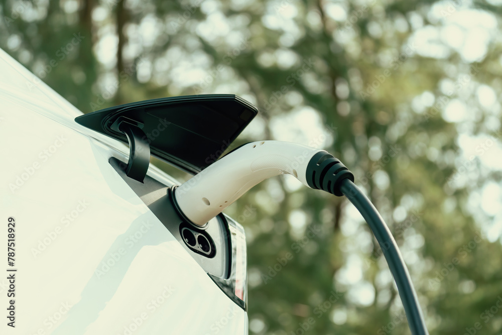 Closeup EV charger handle plugged in or connect to electric car ...