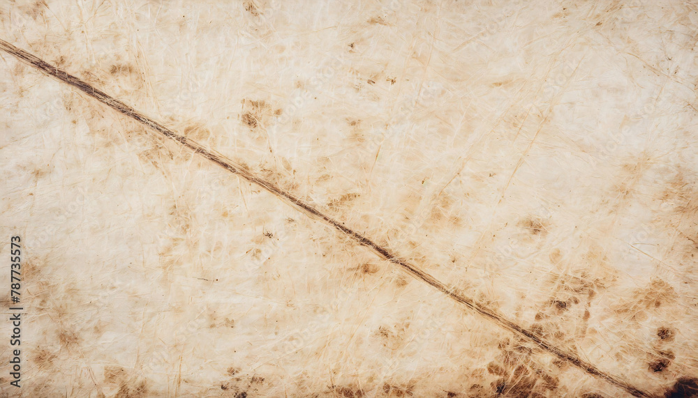 Aged, textured, rough papyrus paper with visible fibrous details and ...