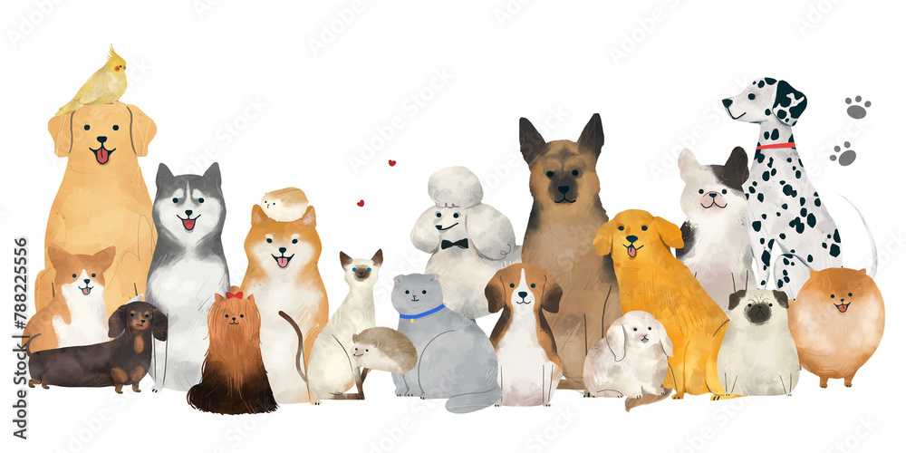Border png cute pet illustrations on transparent background Stock ...