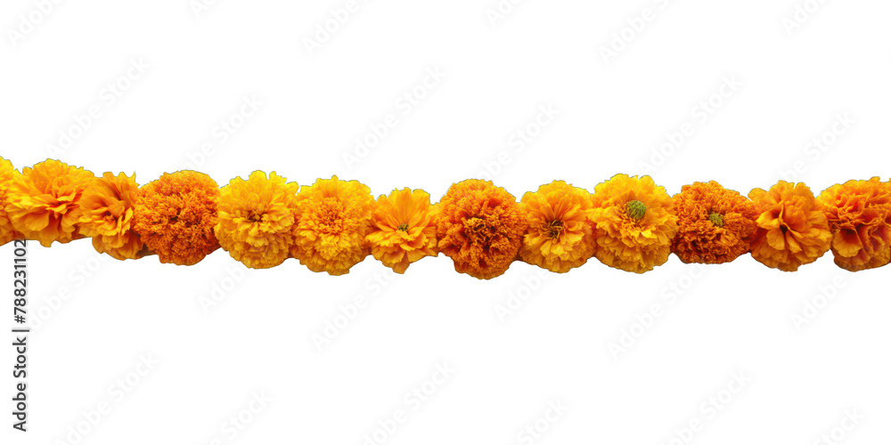 marigold garland png Stock Photo | Adobe Stock