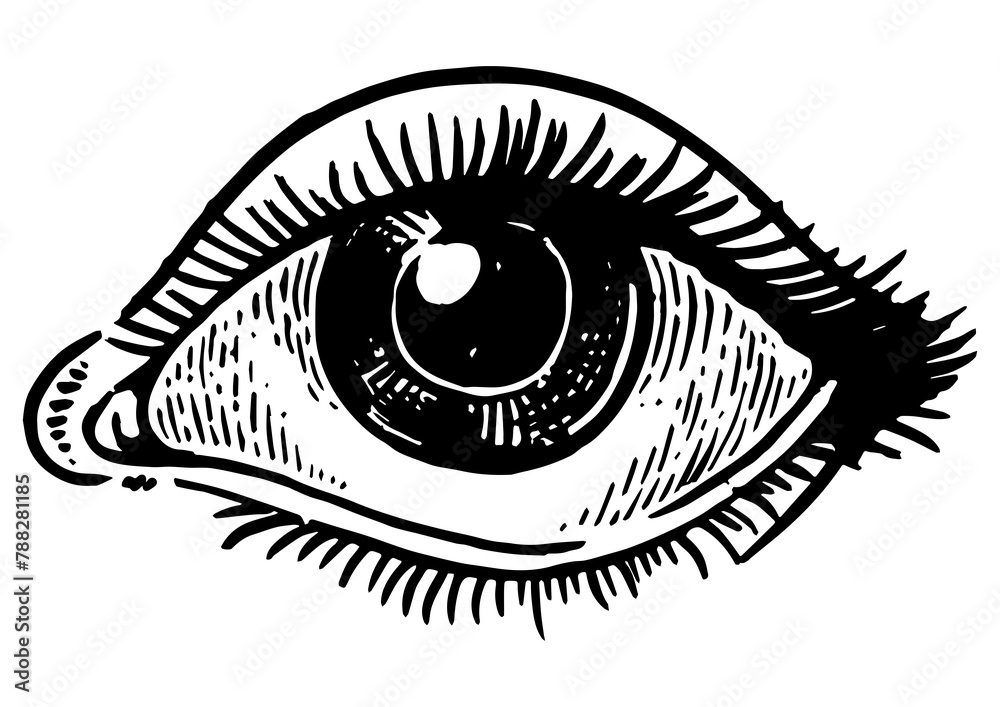 Human eye engraving PNG illustration. Scratch board style imitation ...