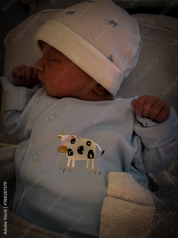 A beautiful portrait of a new born baby boy. This photo was captured ...