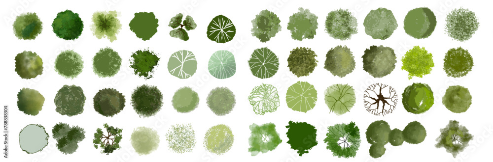 Vector tree top view isolated on white background for landscape plan ...
