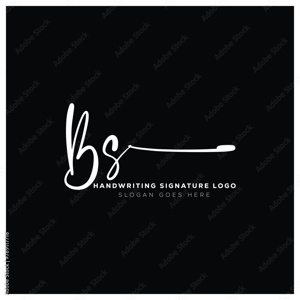 BS initials Handwriting signature logo. BS Hand drawn Calligraphy ...