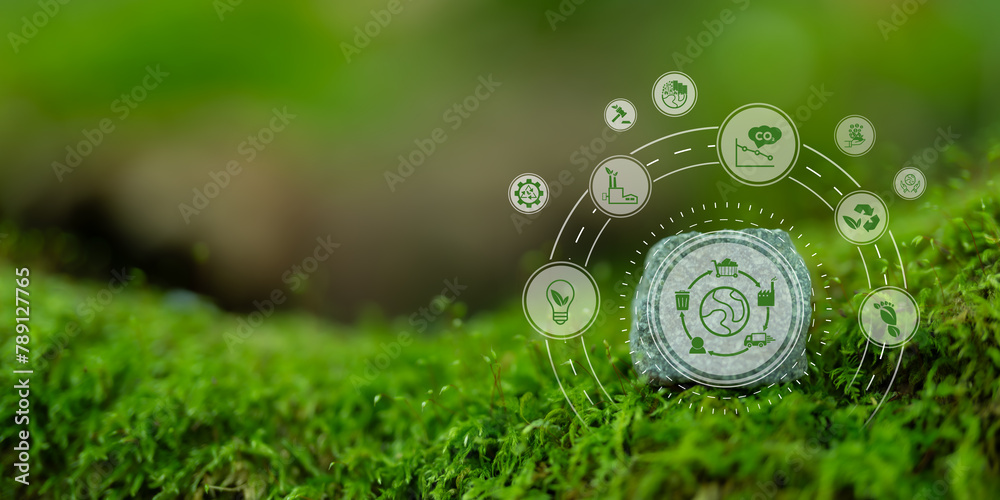 Sustainable business value chain concept. LCA, Life cycle assessment ...