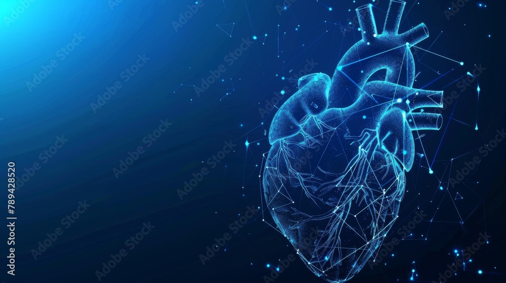 Anatomy of the human heart formed as line triangles connected by a blue ...
