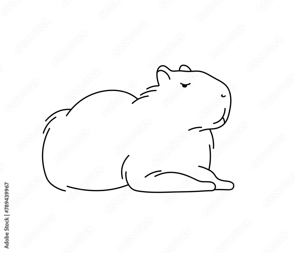 Vector isolated one single lying capybara colorless black and white ...