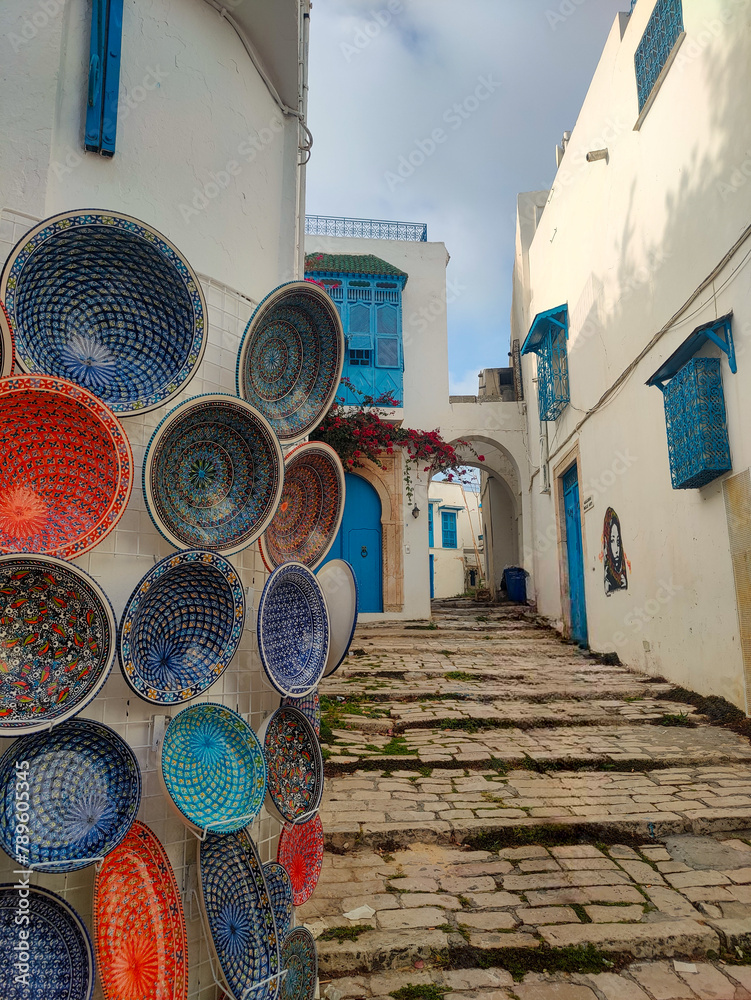 idi Bou Said, a famous village with traditional white and blue Tunisian ...