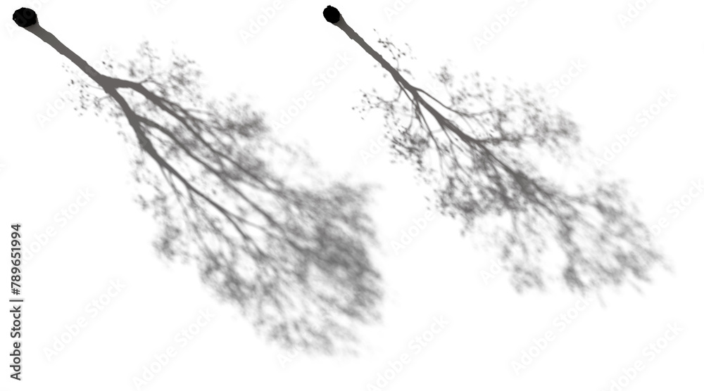 Realistic aesthetic shadow from big tree isolated png on a transparent ...