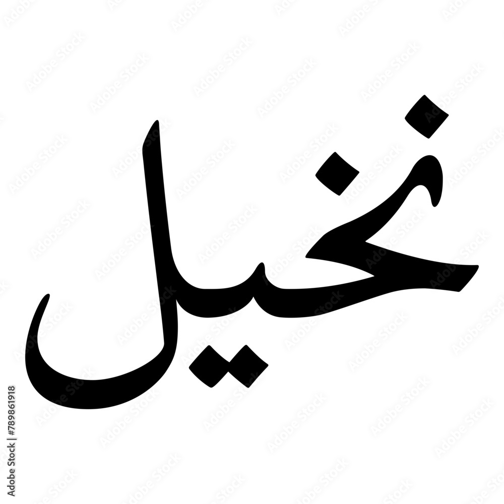 Nakheel Muslim Girls Name Naskh Font Arabic Calligraphy Stock Vector ...