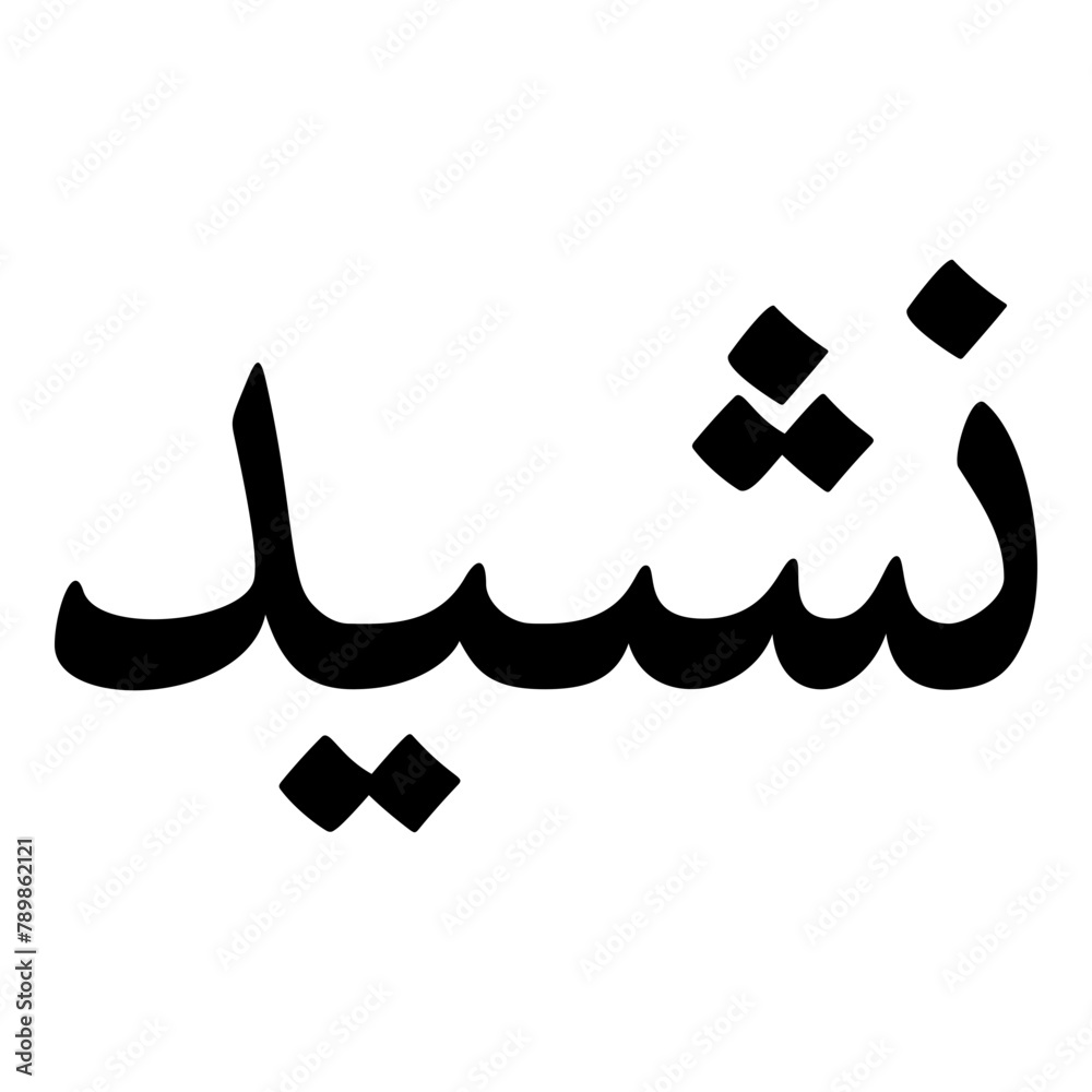 Nasheed Muslim Girls Name Naskh Font Arabic Calligraphy Stock Vector ...