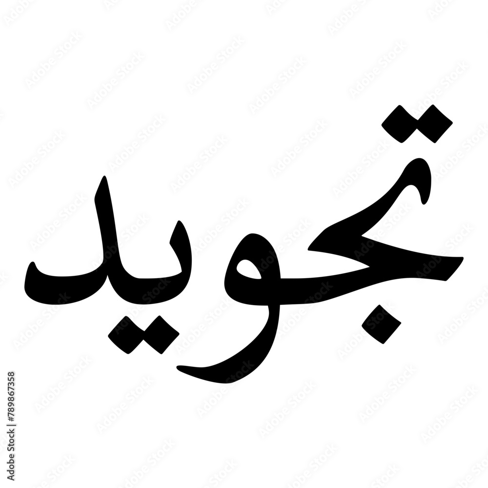 Tajweed Muslim Girls Name Naskh Font Arabic Calligraphy Stock Vector ...