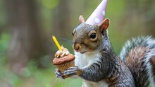 Celebration Squirrel Free Stock Photo - Public Domain Pictures