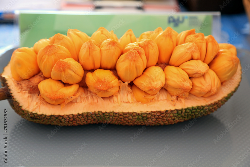 fruit, thailandfruit, cempedak, is a species of tree in the family ...