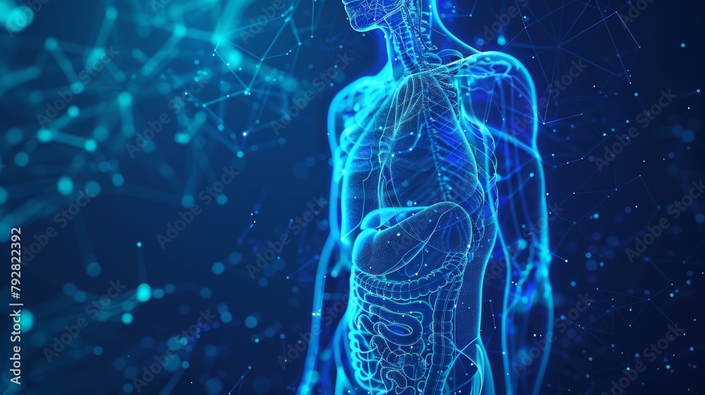 Blueprint of a 3D polygonal human body Stock Illustration | Adobe Stock