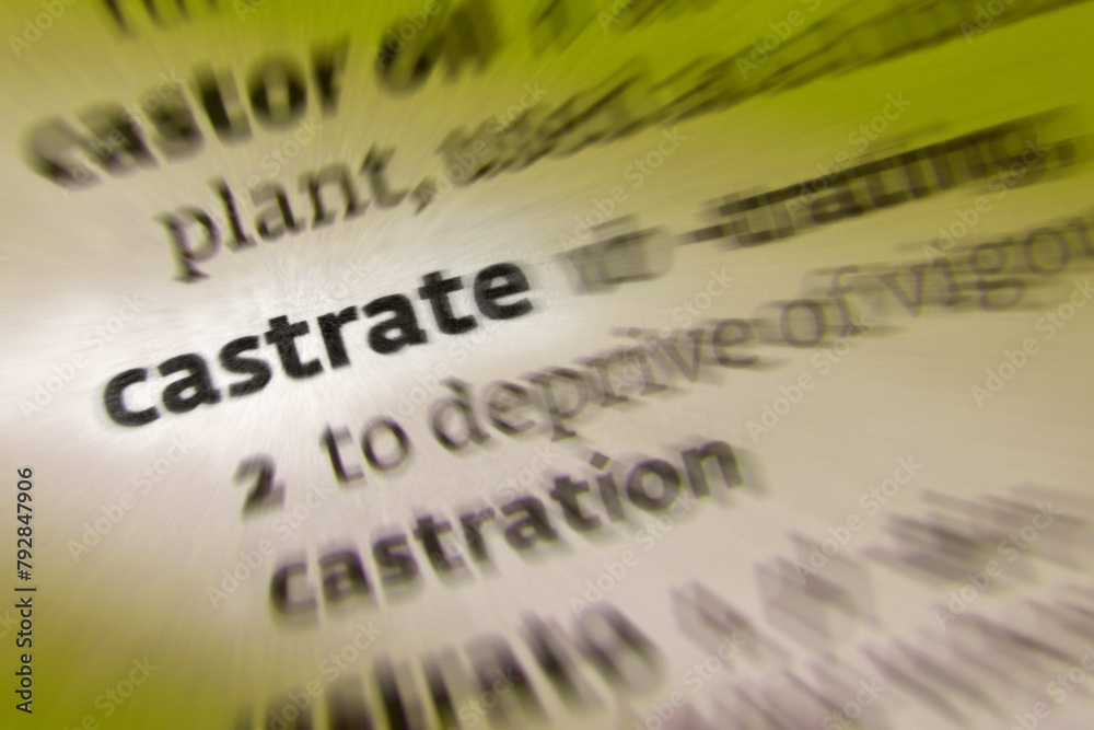 Castrate - Castration. Any action, surgical, chemical, or otherwise, by ...