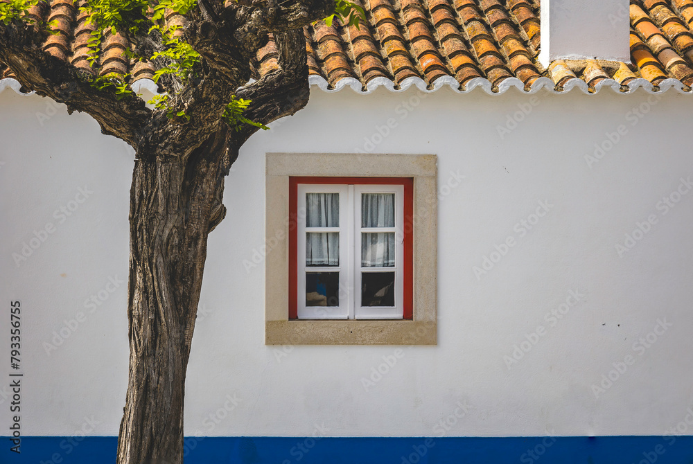 City of Porto Covo with traditional Alentejo houses painted white with ...
