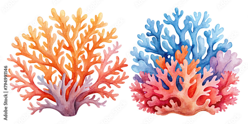 set of sea coral watercolor picture of marine life, ocean elements, on ...