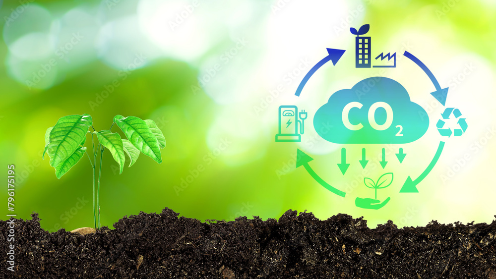 CO2 reducing icon with circular for decrease CO2 , carbon footprint and carbon credit to limit ...