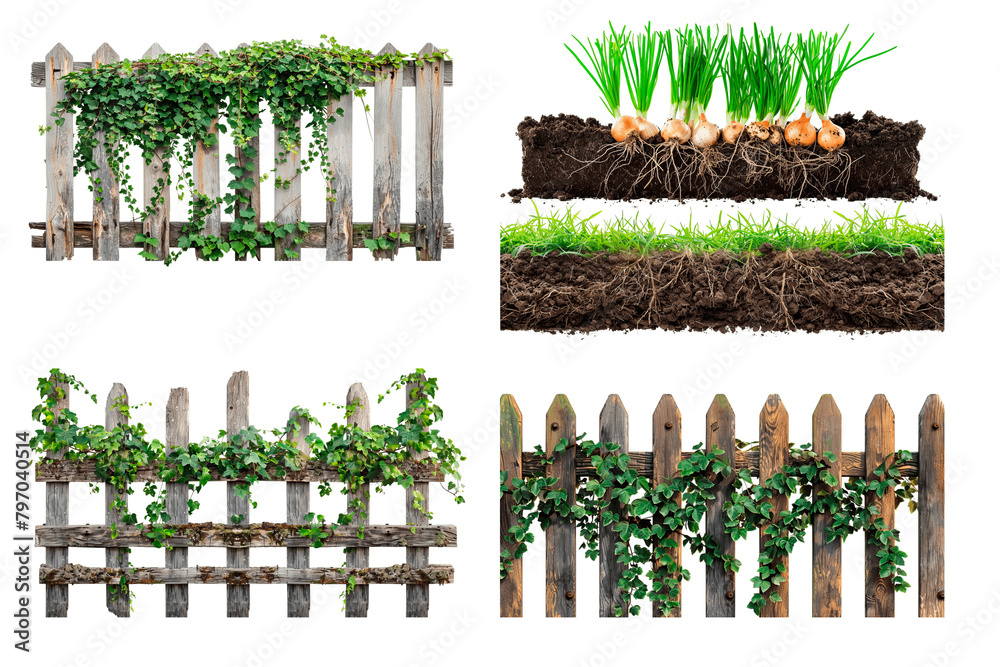 The image shows four different sections of garden elements: a vine ...