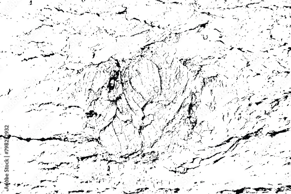 White black tree bark texture vector overlay texture. Old wood texture ...