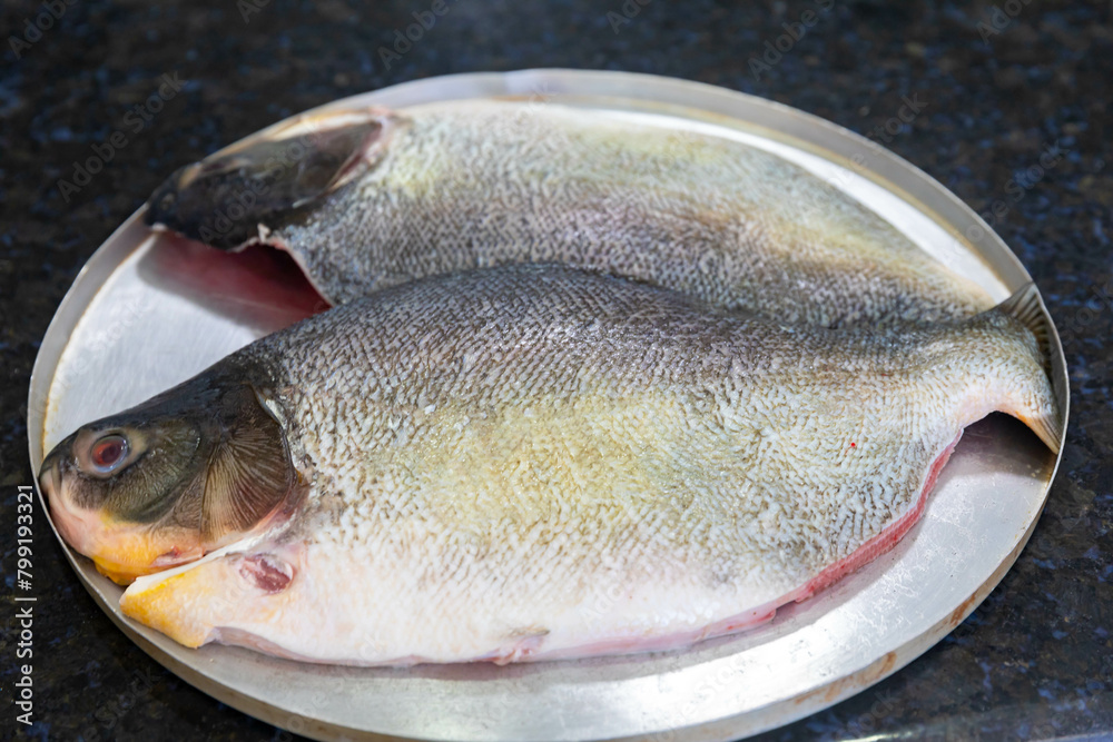 Fresh tropical fish Tambaqui (Colossoma macropomum) typical Brazilian ...