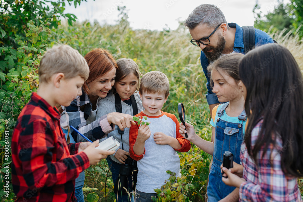 Young students learning about nature, forest ecosystem during biology ...