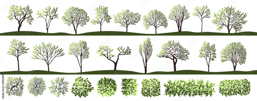 Tree silhouettes for the landscape design. Trees top and frontal view ...