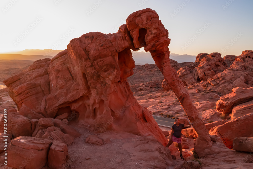 Tourist woman standing next to elephant shaped Aztec Sandstone Rock ...