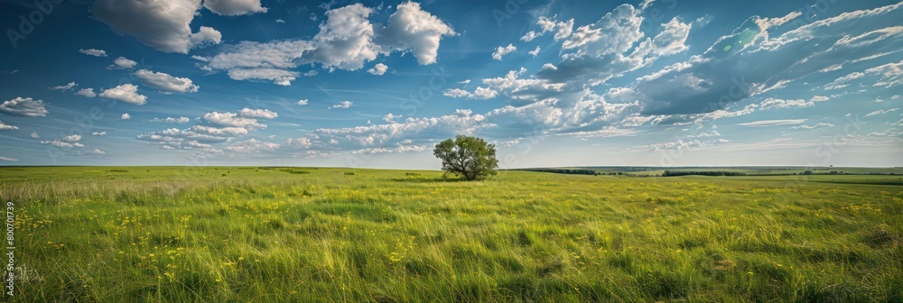 prairies, stretches of flat grassland with moderate temperatures ...