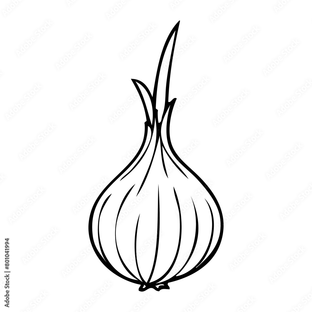 onion outline illustration Stock Vector | Adobe Stock