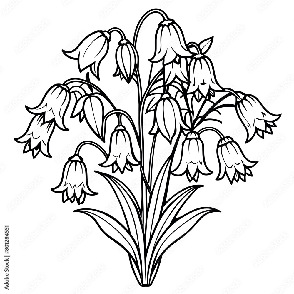 Bluebell Flower Bouquet outline illustration coloring book page design ...