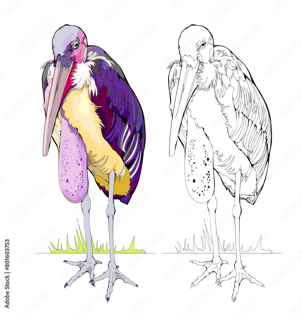 Colorful and black and white page for coloring book. Illustration of a ...