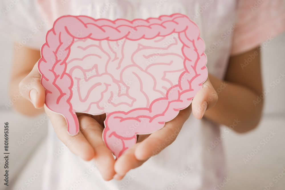 Preteen girl hands holding intestine shape, healthy bowel digestion ...